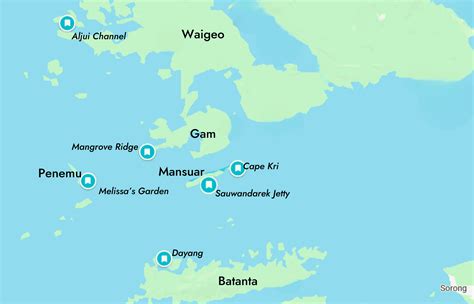 Raja Ampat Snorkeling Our Comprehensive Guide Oceanic Society