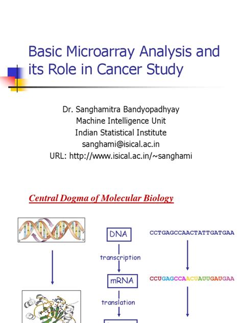 microarray full pdf dna microarray cluster analysis