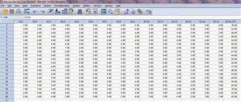 do spss data entry and minitab by ashesalizabith fiverr