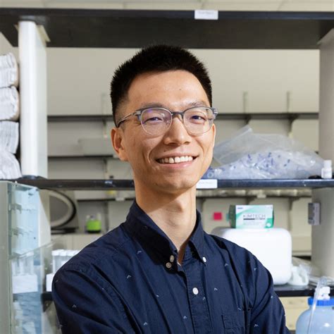 Nan Zhang Ph D The Wistar Institute