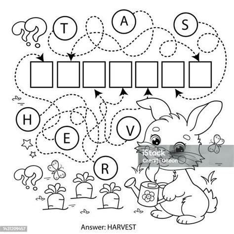 미로 또는 미로 게임 수수께끼 색칠 공부 페이지 개요 만화 귀여운 토끼 또는 토끼와 물을주는 깡통과 당근과 양배추 아이들을위한 색칠 공부 책 0명에 대한 스톡 벡터 아트 및