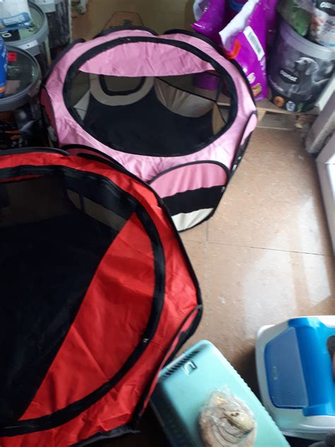 ზოო მაღაზია მადაგასკარი რუსთავი Rustavi