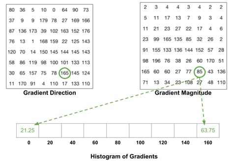 Introduction To Basic Object Detection Algorithms Fritz Ai