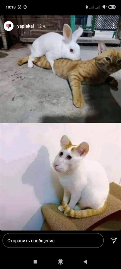 гиф анимация гифки ПРИКОЛЬНЫЕ  анимашки Anon картинки гифки прикольные комиксы