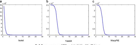 Figure 1 From Discriminative Sparse Subspace Learning And Its