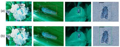 Performance Analysis Of Yolo And Detectron2 Models For Detecting Corn And Soybean Pests