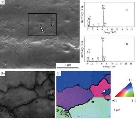 SEM Image A EBSD Analysis B And The Corresponding Orientation Download Scientific Diagram