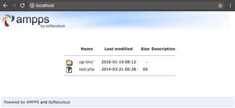 developing wordpress sites locally with ampps themetry