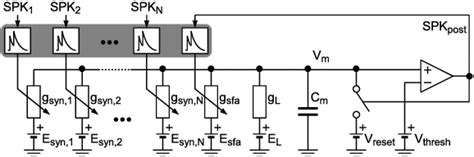 figure 3 from vlsi implementation of a conductance based multi synapse