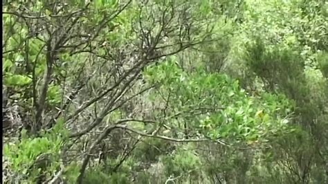 Asha Bliss Porn Videos Porn Star Sex Scenes XHamster