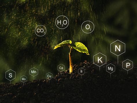 Técnicas De Conservación Del Suelo Un Blog Dedicado A Temas