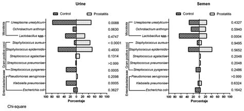 Dna Detection Of Other Bacteria Associated With Prostatitis Download