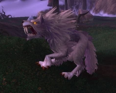 Alpha Worg Quest World Of Warcraft