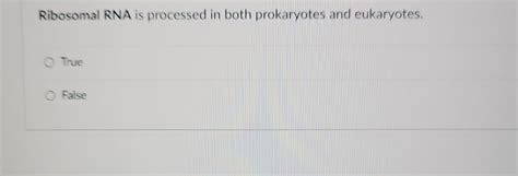 Solved Ribosomal Rna Is Processed In Both Prokaryotes And
