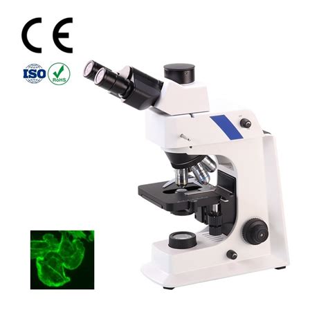 Trinocular Microscope Head Semi Apo Infinity Plan Fluorescence Biological Microscope 5w Led