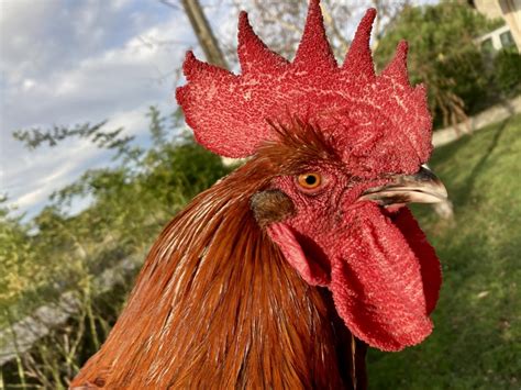 Ce Cc Servimg Com Free Image Hosting Service Ce Cc Servimg Com Free Image Hosting Service