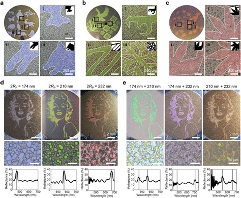 Color Tuning With Unary And Binary Dispersions Ac Sets Of Photograph