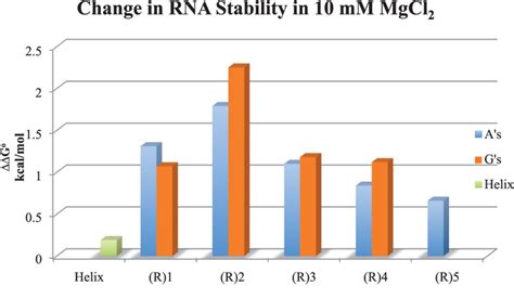Thermodynamic Examination Of 1 To 5 Nt Purine Bulge Loops In Rna And Dna Constructs