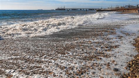 Д р Сергей Иванов Попският плаж е замърсен с ешерихия коли Nova