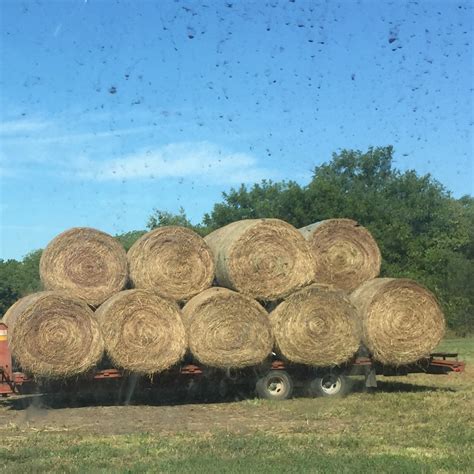 Hay For Sale Hay Map