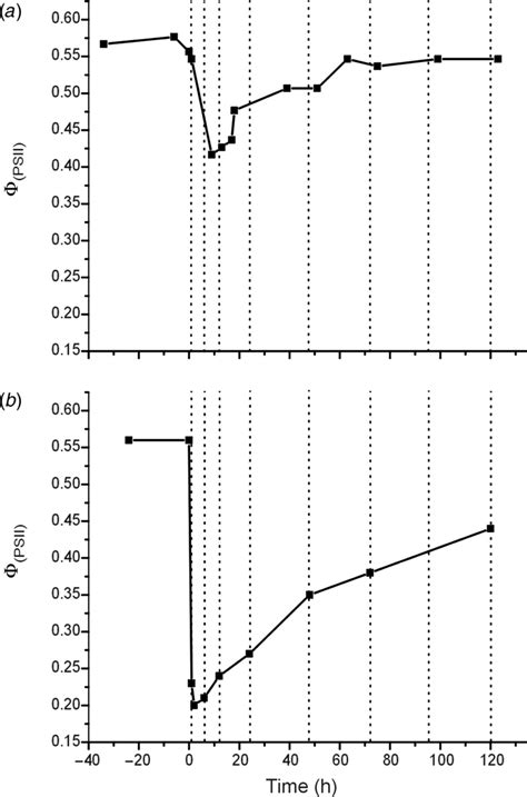 Temporal Development Of The Photosynthetic Quantum Yield At Photosystem