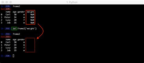 【python】series和dataframe的简单介绍 bdy 博客园