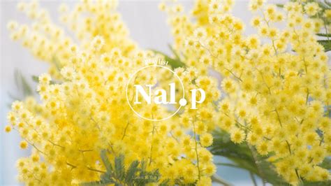 Playlist 봄에 듣기 좋은 피아노 가사없는 노래 Youtube