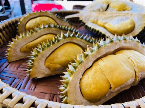 Lab 7 Lab 7 Added A New Photo