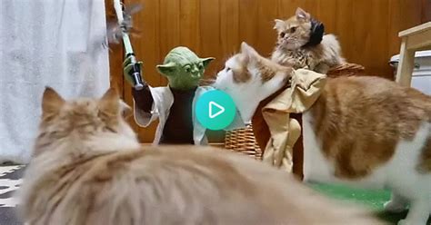 Train You Must  On Imgur