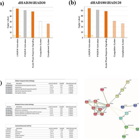 A Ipa Analysis Of Top 5 Canonical Pathways When Comparing Dhad30 Vs Download Scientific