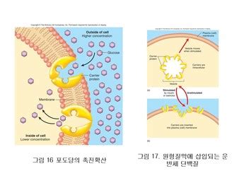 세포와 세포외환경 사이의 상호작용