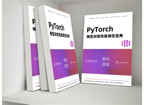 PyTorch模型训练性能调优宝典 Alluxio官网 分布式超大规模数据编排系统