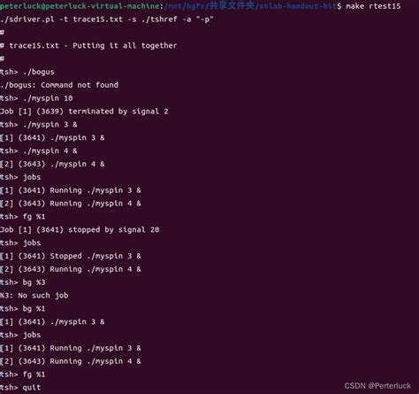 一文读懂CSAPP shell 微壳实验 csapp tinyshell CSDN博客