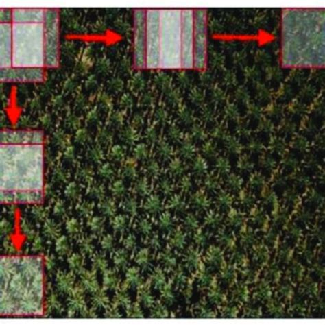 Label Prediction Using Sliding Window Technique Red Squares Represent