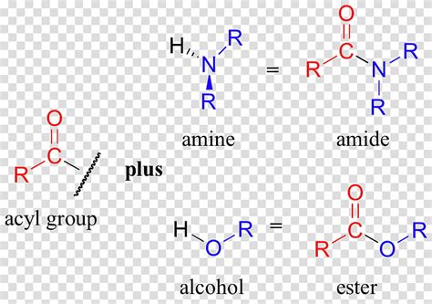 Acyl Functional Group