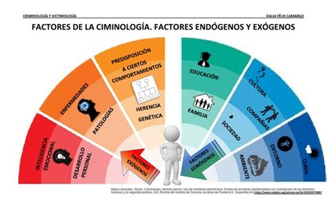 Factores Endógenos Y Exógenos Pdf Pdf