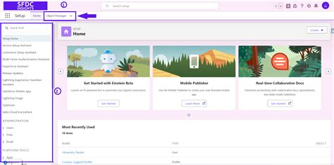 Salesforce Platform Basics An Introduction To Setup And Navigation Sfdc Insights