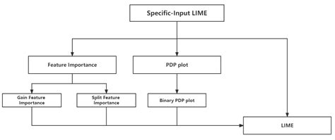 Applied Sciences Free Full Text Specific Input Lime Explanations