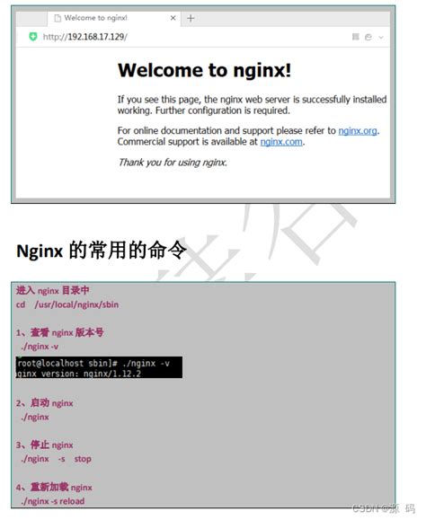nginx 反向代理 负载均衡 动静分离 高可用集群 详解 nginx反向代理高可用集群 csdn博客