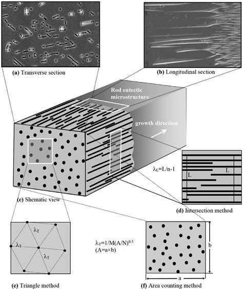 Scielo Brasil Influences Of Growth Velocity And Fe Content On Microstructure Microhardness