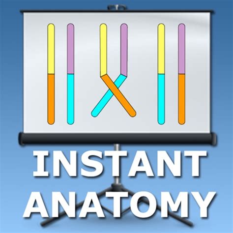 Embryology Lectures For Pc Windows 781011