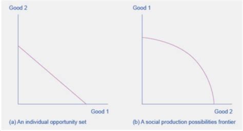 Econ Midterm Flashcards Quizlet