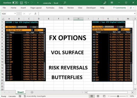 Pricing FX Options In Excel Using Risk Reversal And Butterfly Market Quotes The USD Indian