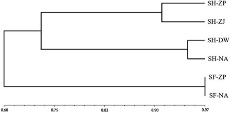 Phylogenetic Tree Constructed By UPGMA Method Based On Neis Unbiased Download Scientific