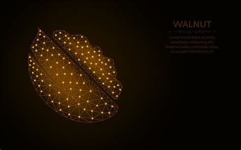월넛 낮은 폴리 디자인 과일 와이어 프레임 메쉬 어두운 갈색 배경에 포인트와 선으로 만든 다각형 벡터 그림 갈색에 대한 스톡 벡터 아트 및 기타 이미지 Istock