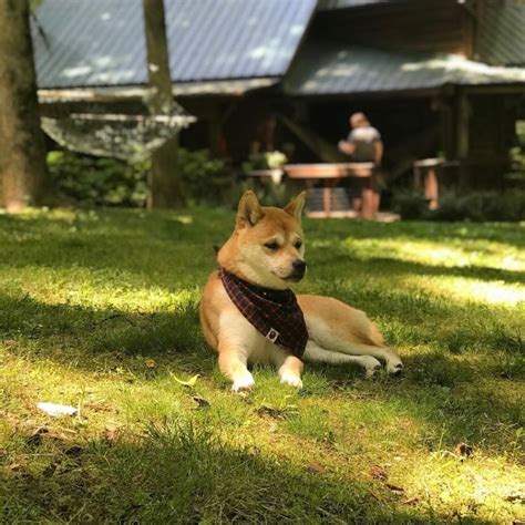 Jessica Trull Youtube