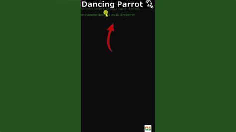 cmd hack part 2 dancing parrot cmdtricks gyansection trending viral shorts youtube
