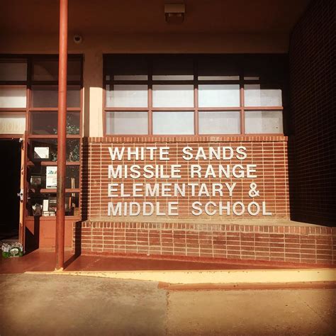 Soothing Tortoise Soothing Tortoise Massage Lmt 8359