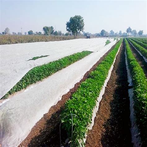 Agriculture Pp Spunbond Nonwoven Fabric For Plant Cover Jinchen