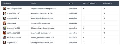 Exporting Wordpress User Data Users Insights